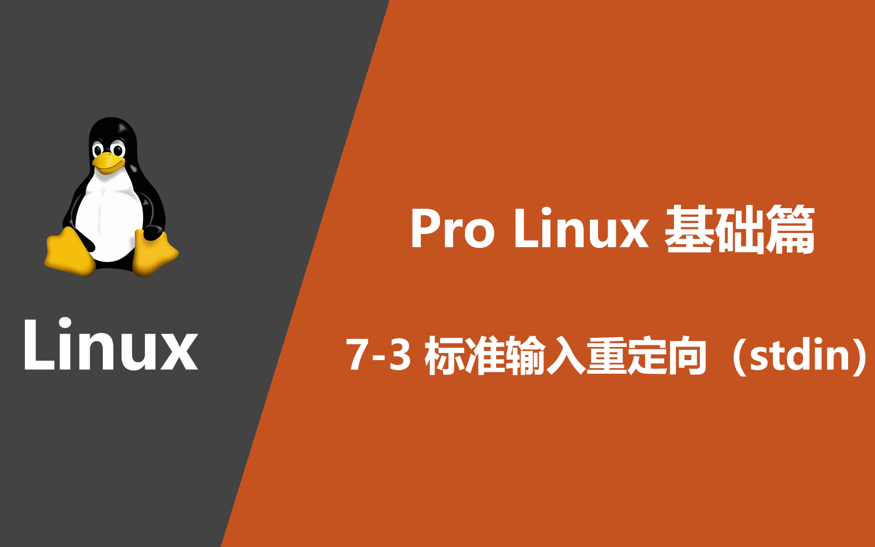 【原创·QG404】Pro Linux 基础篇丨7-3 标准输入重定向(stdin)