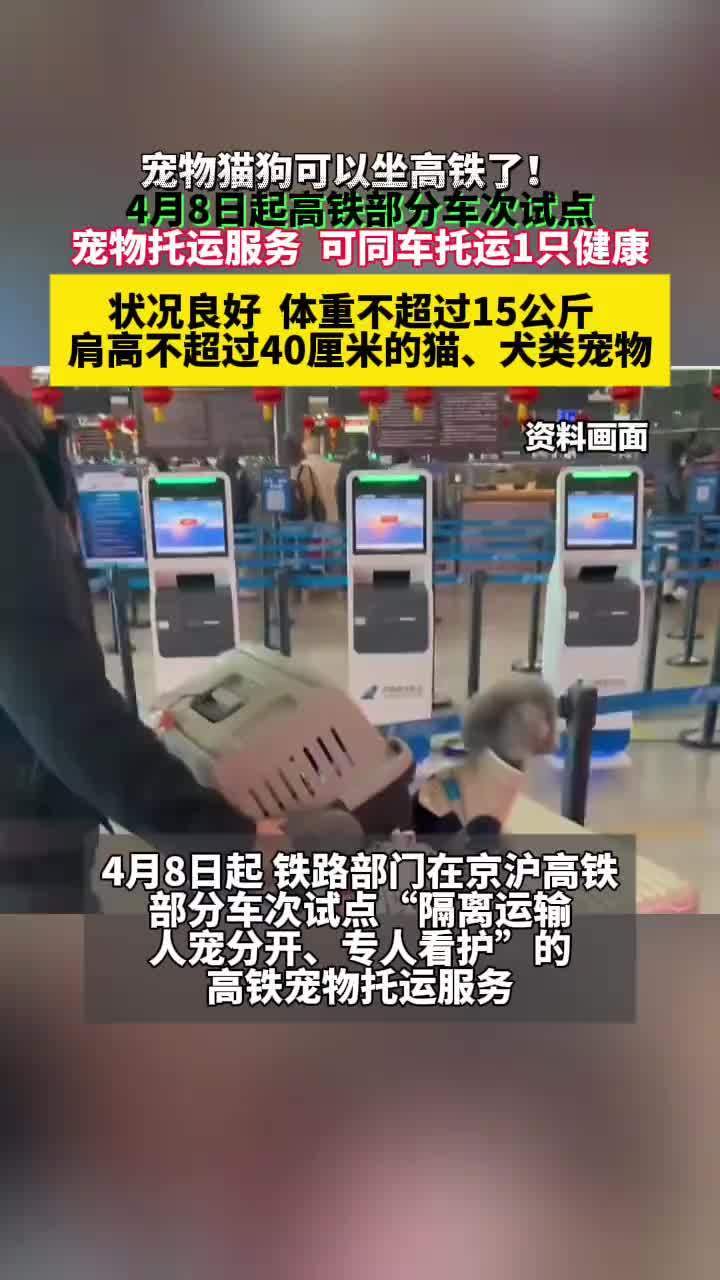 宠物猫狗可以坐高铁了!4月8日起高铁部分车次试点宠物托运服务