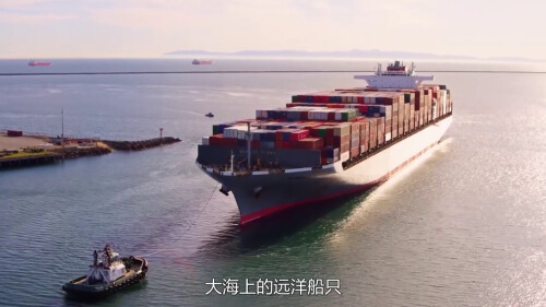 轮船上有那么多人,粪便都排去哪里了?难道进入大海里喂鱼吗?