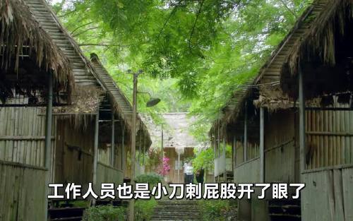 毒枭竟然住进了戒毒所,所长报警,警长却不管!
