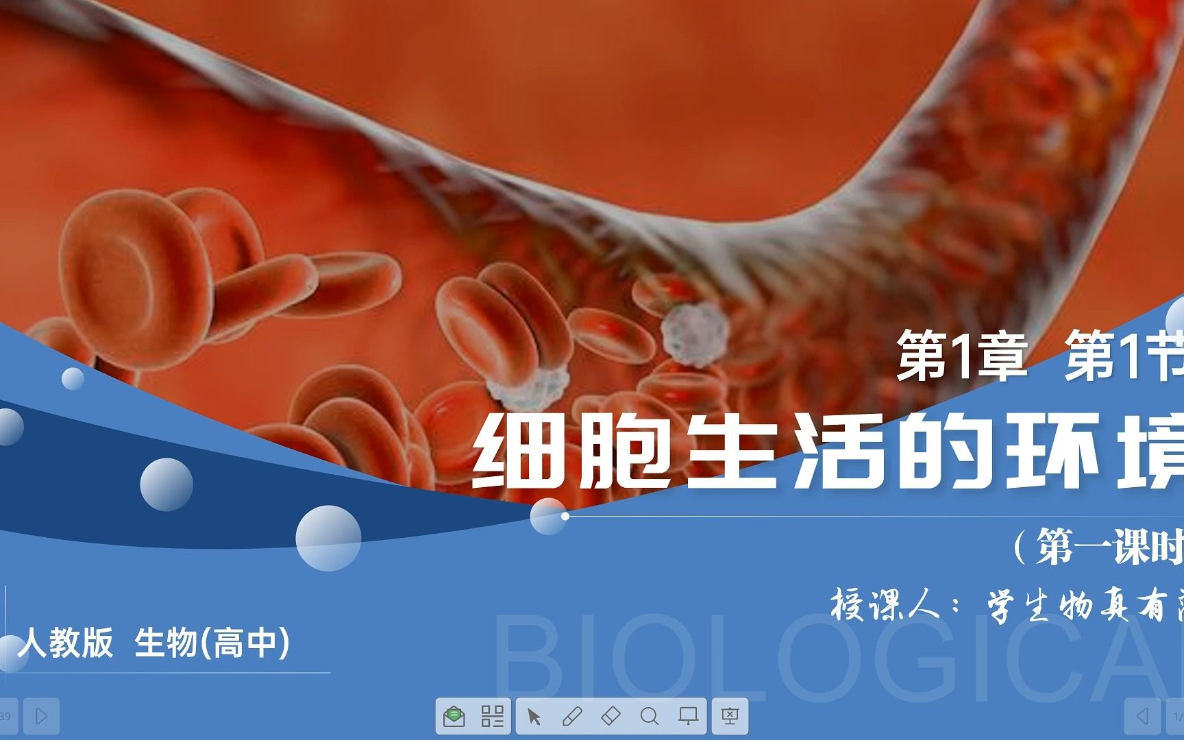 高中生物选择性必修1 1.1细胞生活的环境 第1课时