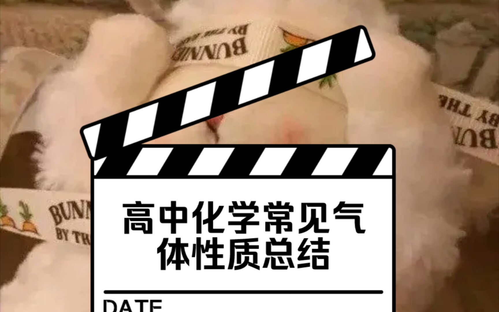 【高中化学干货】高中化学常见气体性质总结