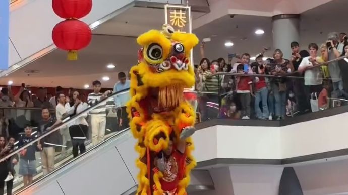 果然视频|中国舞狮在悉尼爆火,在悉华人:舞狮艺术让我感到自豪