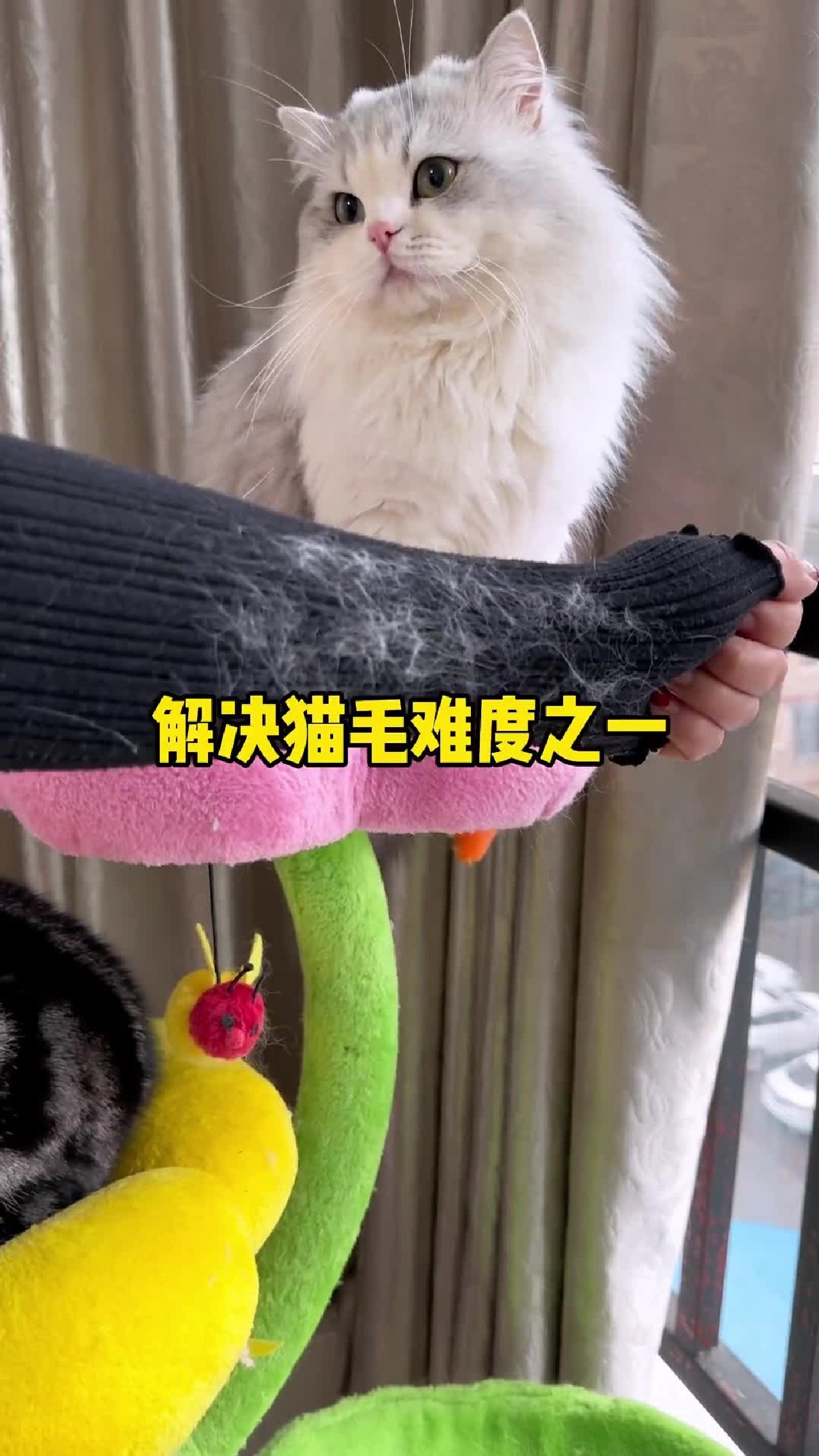 有了它 困扰了我好久的猫毛问题都解决啦#猫毛解决方案