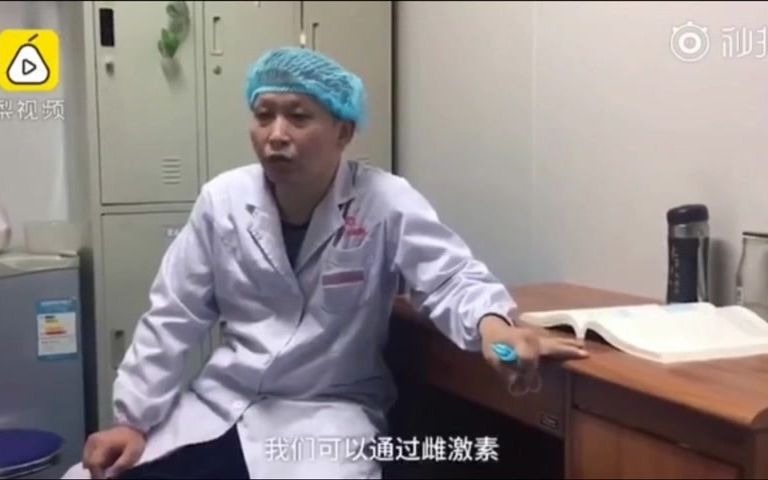 生殖系统的发生~组织胚胎学