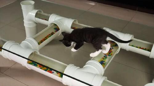 塑料管件制作的茶几水族箱,美观漂亮,太有创意了