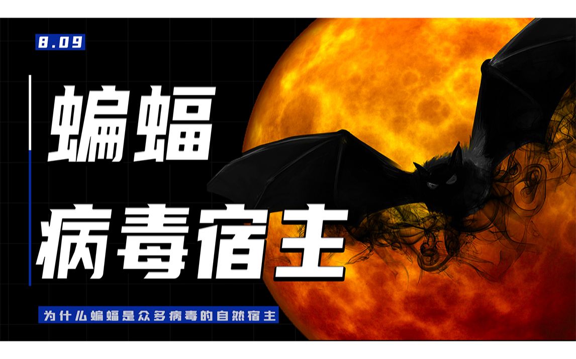 为什么蝙蝠是众多病毒的自然宿主,可自身却安然无恙?