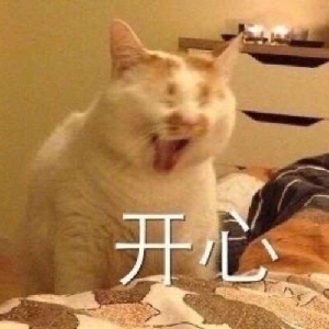 好运来勒好运来 