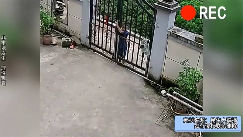 男孩去带爷奶奶家被自家狗咬到,妈妈:这狗养不熟还煮不熟吗