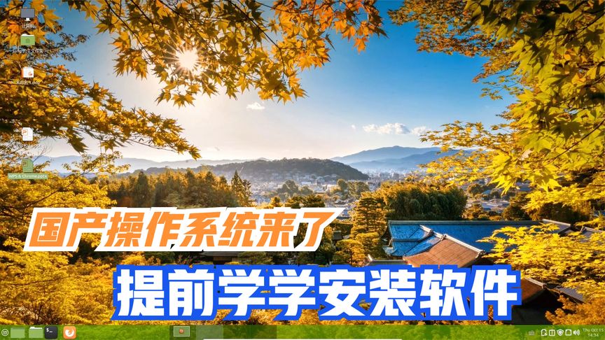 国产操作系统安装WPS 谷歌浏览器,还要啥软件?视频编辑,免费的