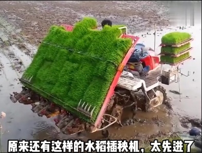 原来还有这样的水稻插秧机,太先进了