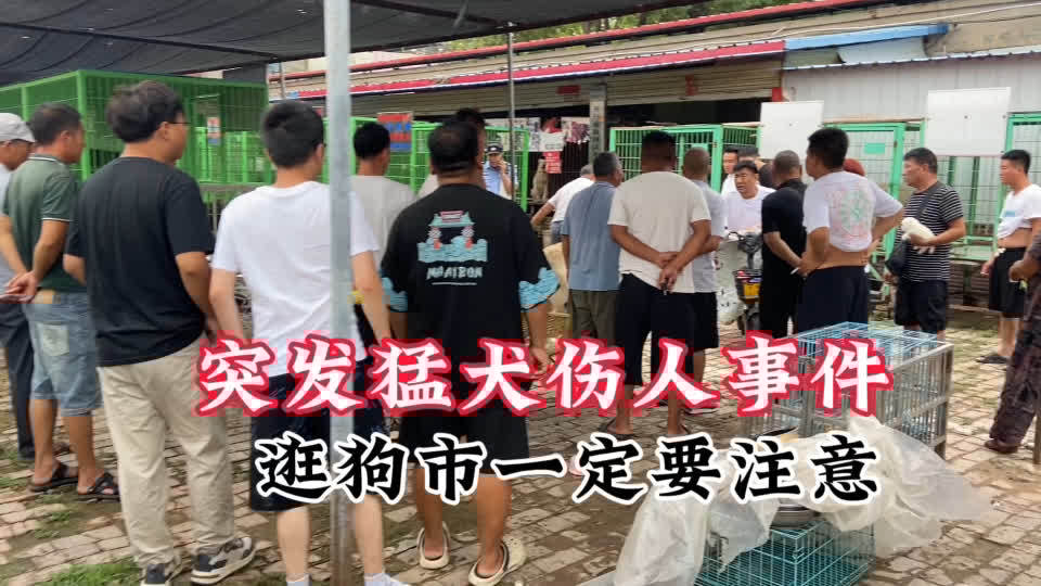 狗市突发猛犬伤人事件,大叔脸被抓伤,大家逛狗市一定要注意呀!