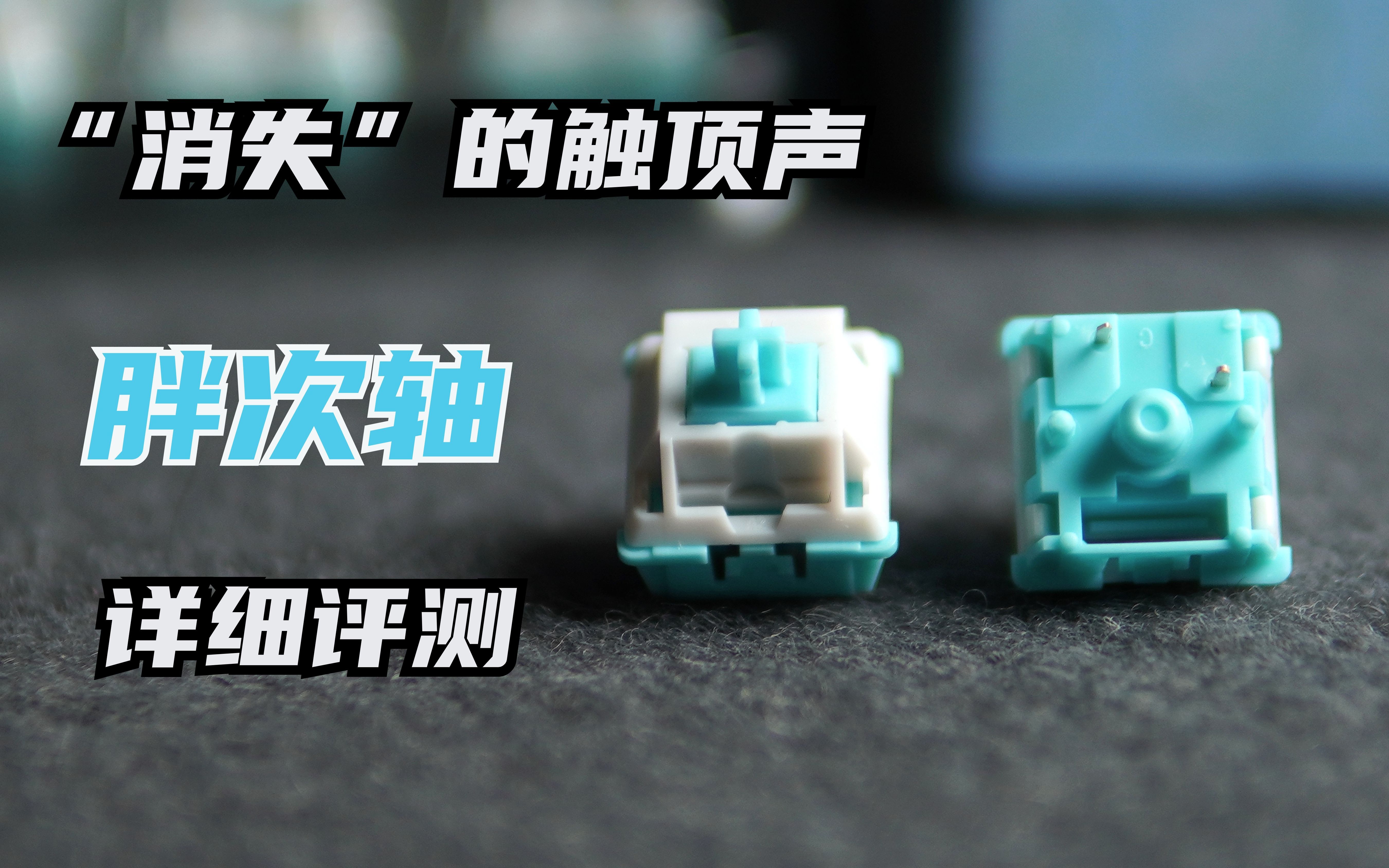 “消失”的触顶声 | 小云云家胖次轴详细评测,对比阿尼亚轴和芝士蓝轴