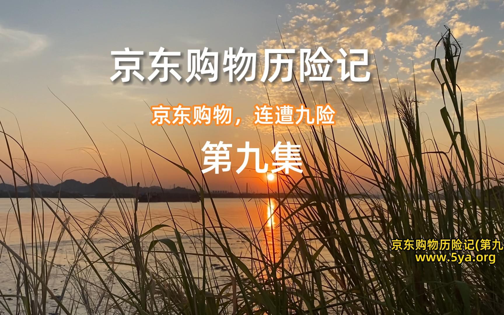 京东购物历险记 第9集:京东自营用被修改商品信息后的商品发货(新)...