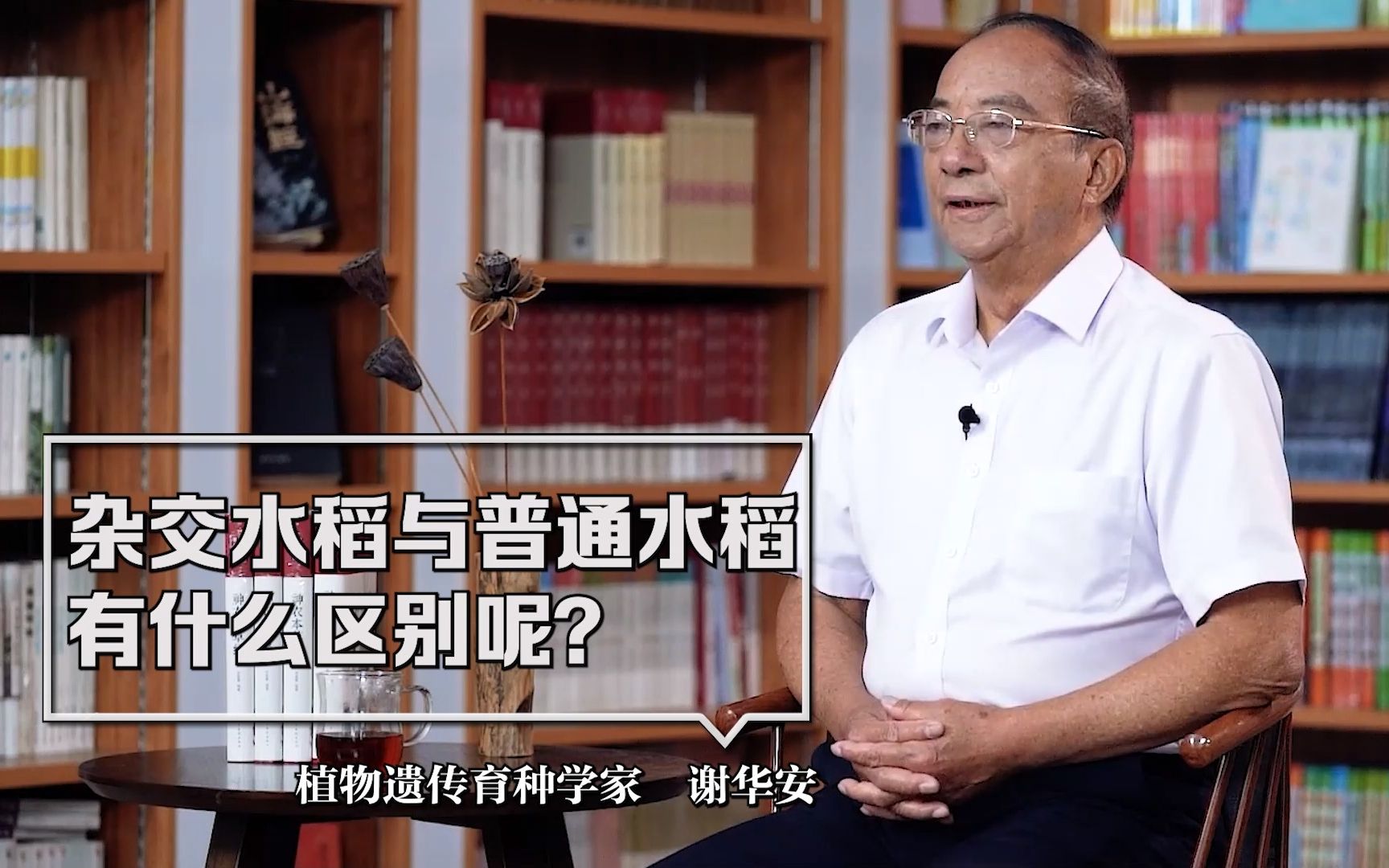 杂交水稻与普通水稻有什么区别呢?