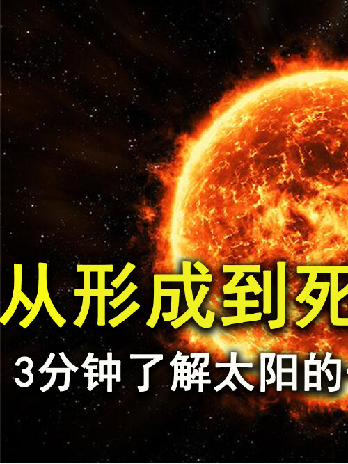 从形成到死亡3分钟带你看完的一生