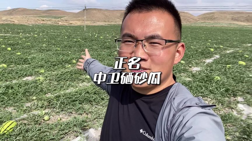 给大家普及一下硒砂瓜(介绍了几期,竟然忘了先科普了)#水果