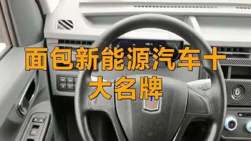 揭秘十大新能源汽车品牌,谁才是你心中的面包神车?