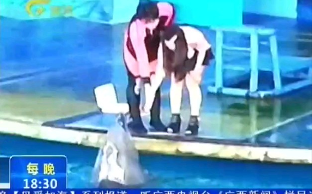 苏州:海洋馆海豚袭击游客 咬人并非首次发生