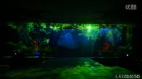裸眼3D-全息,森林演奏