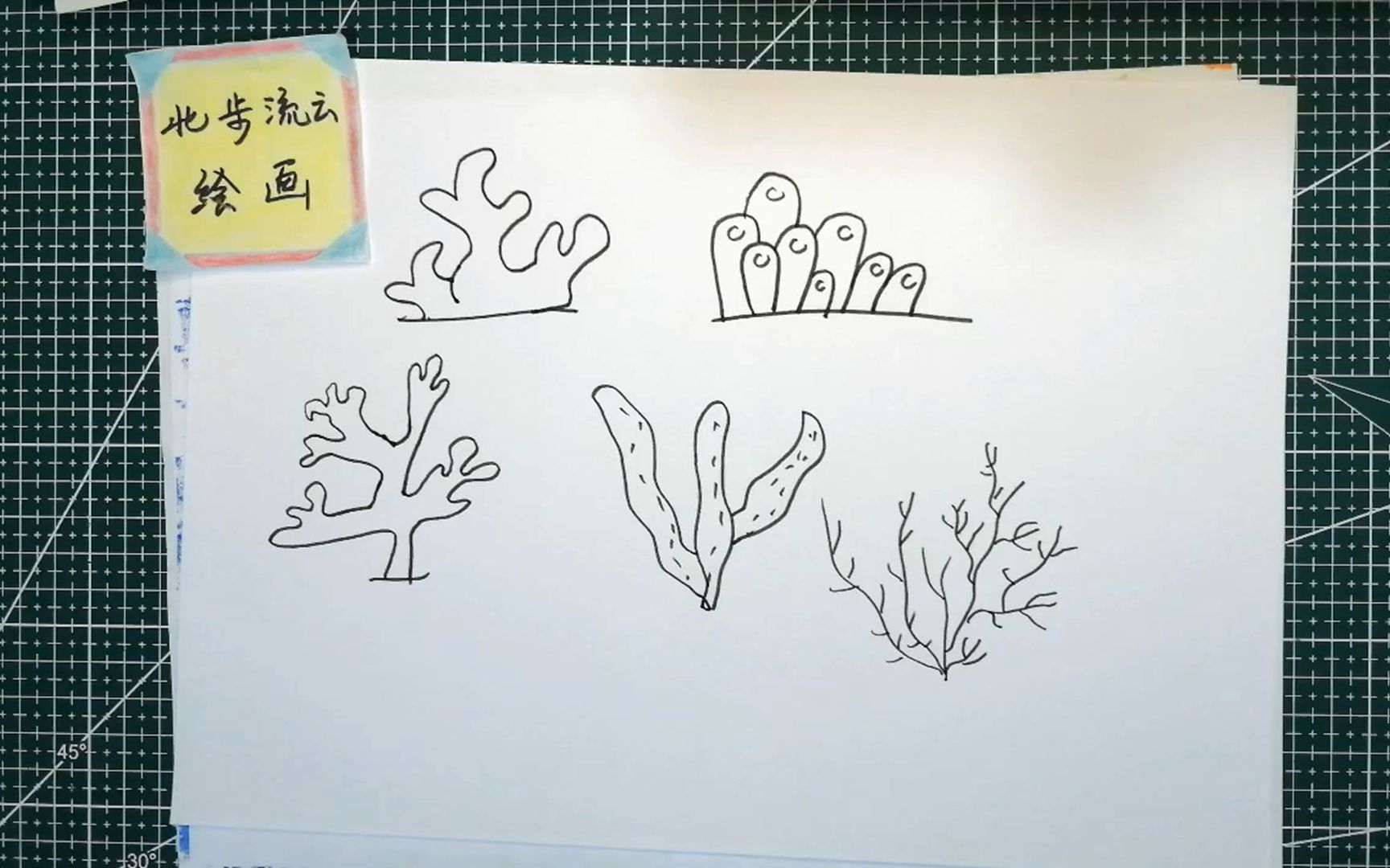 珊瑚简笔画,儿童简笔画,幼儿绘画教程
