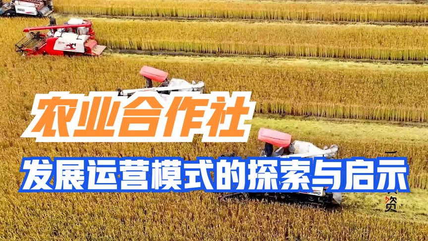 农业合作社的发展运营模式的探索与启示
