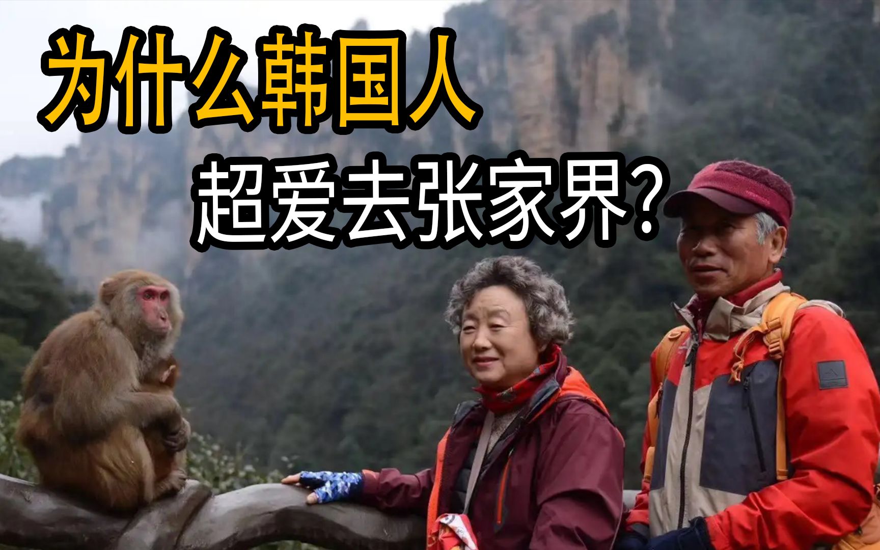为什么韩国人这么爱去张家界?背后原因令人深思