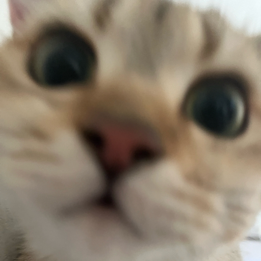 愿望是富婆且双休 