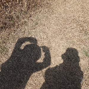 随便丶说说 