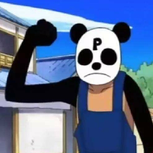 憨憨的猫熊 