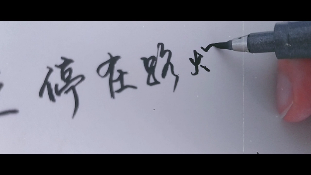秀丽笔手写|我喜欢你的信息素