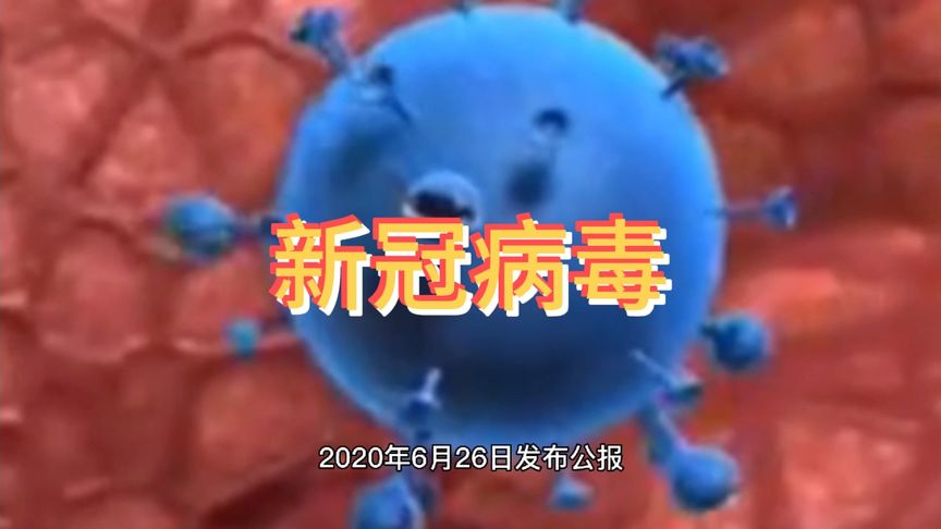 新冠病毒到底什么时候开始有的?有新发现!