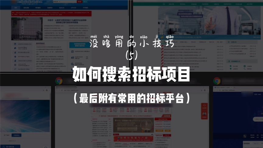如何搜索招标项目?——没啥用的小技巧5