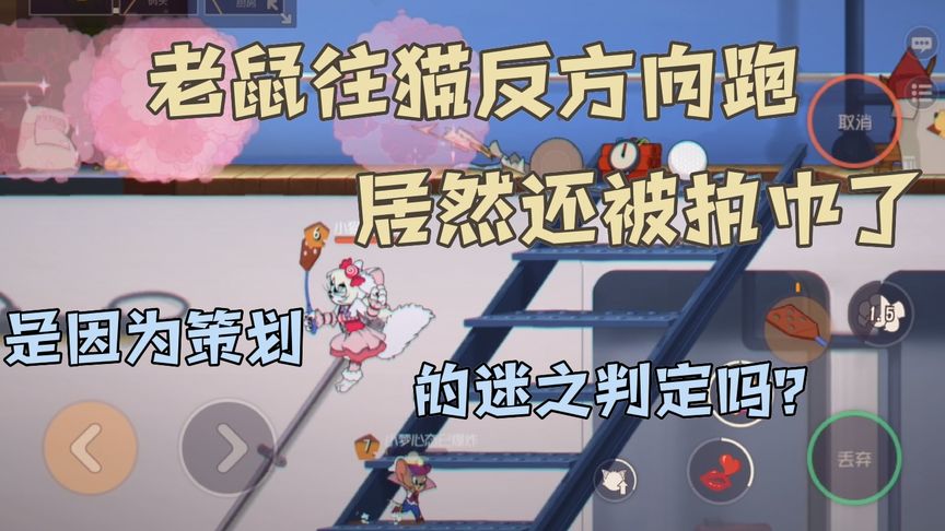 猫和老鼠:老鼠遇到狗和猫的迷之反向攻击,实在是一脸懵比