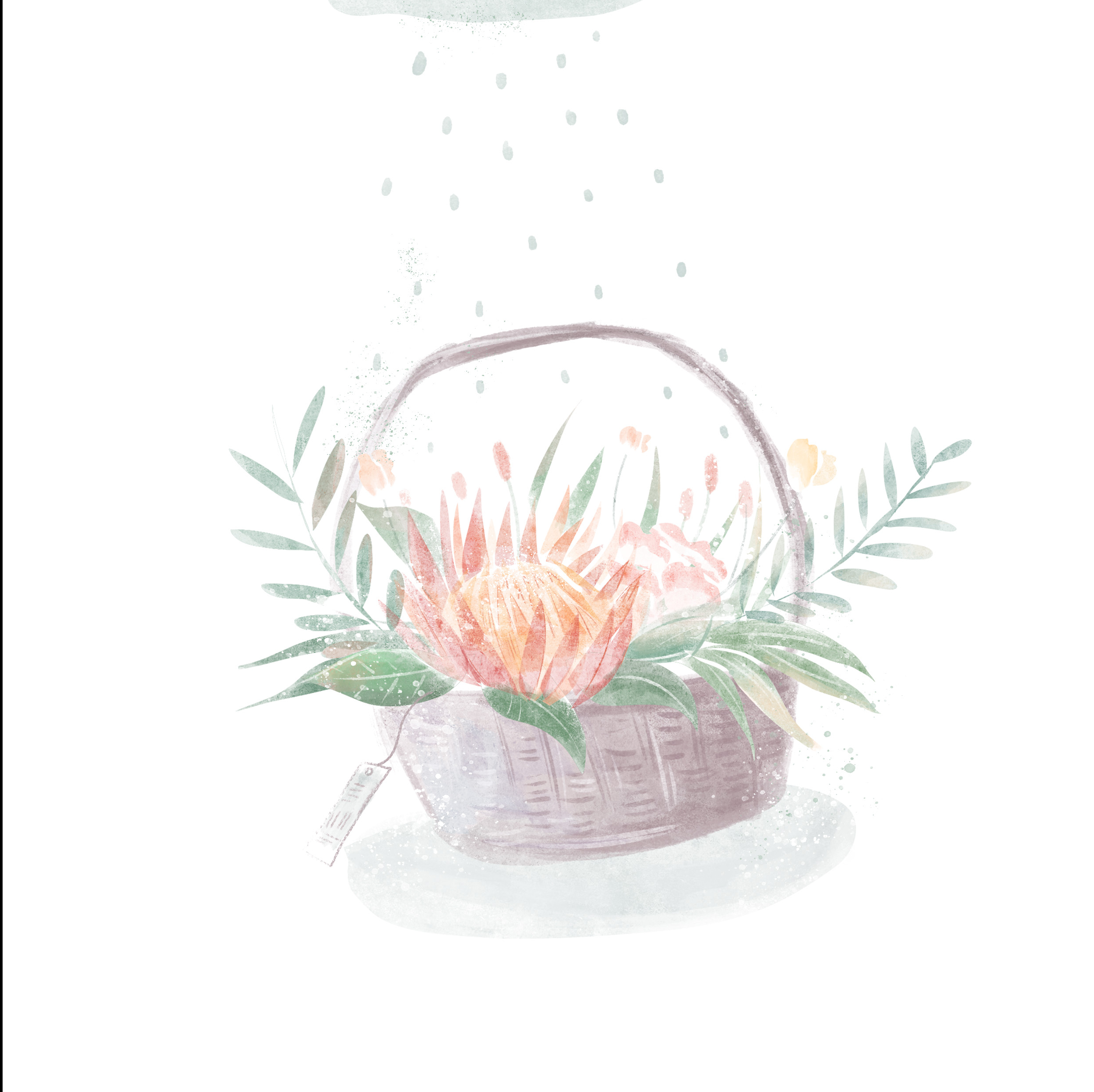 插画umi 