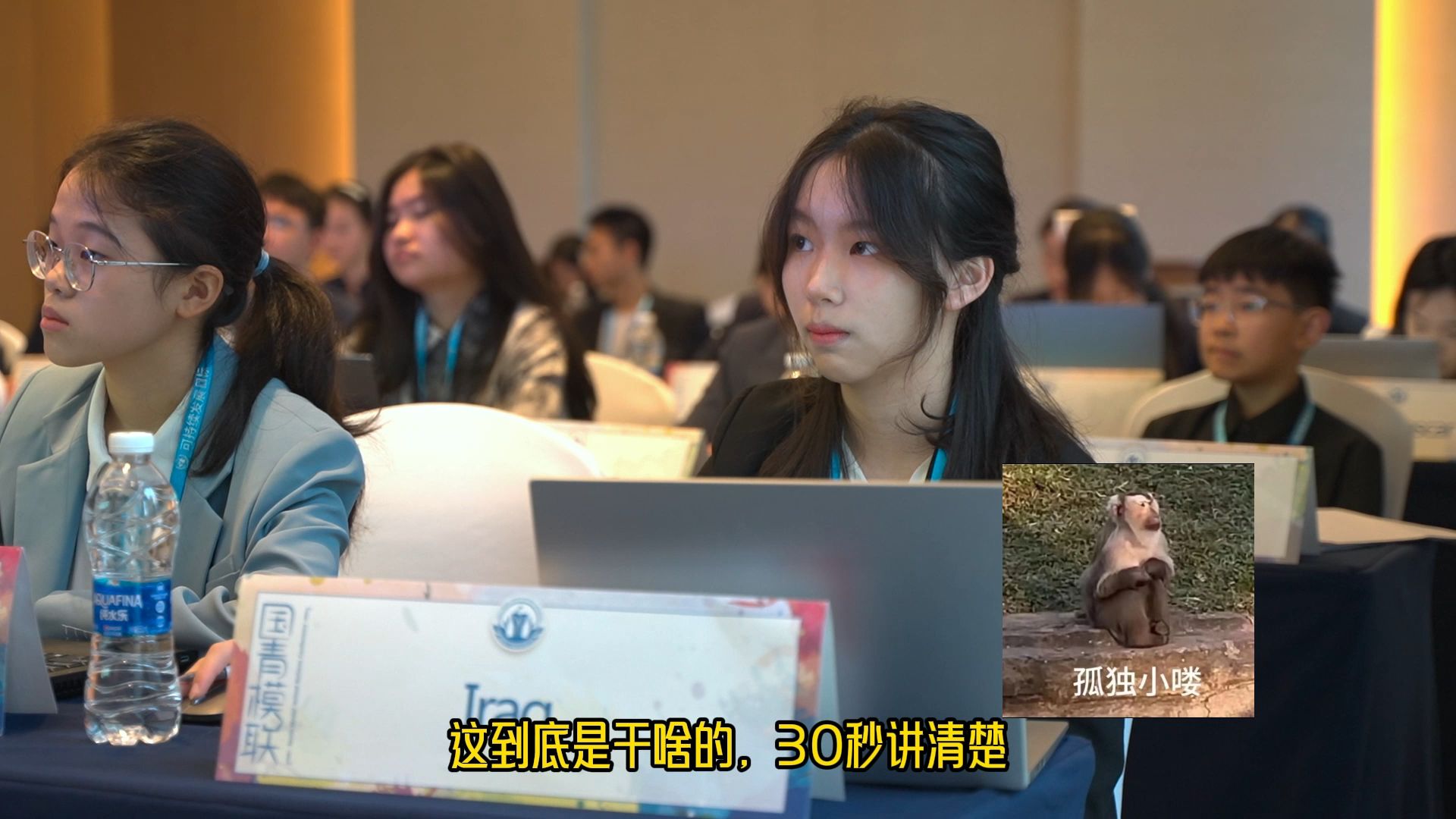 什么是模拟联合国?一个视频讲清楚