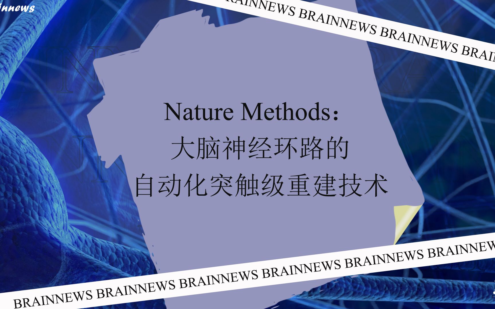#Brainnews 【前沿快讯】Nature Methods报道大脑神经环路的自动化...