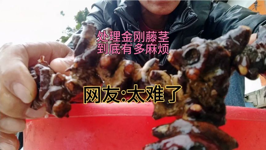 金刚藤祛风除湿,野生金刚藤茎的具体处理方法