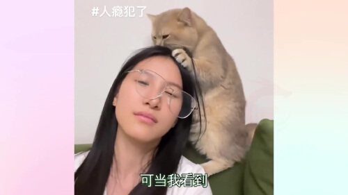 当猫咪遇见铲屎官瞬间变身,疯狂吸头赋予它究竟是宠物还是魔力的疑问