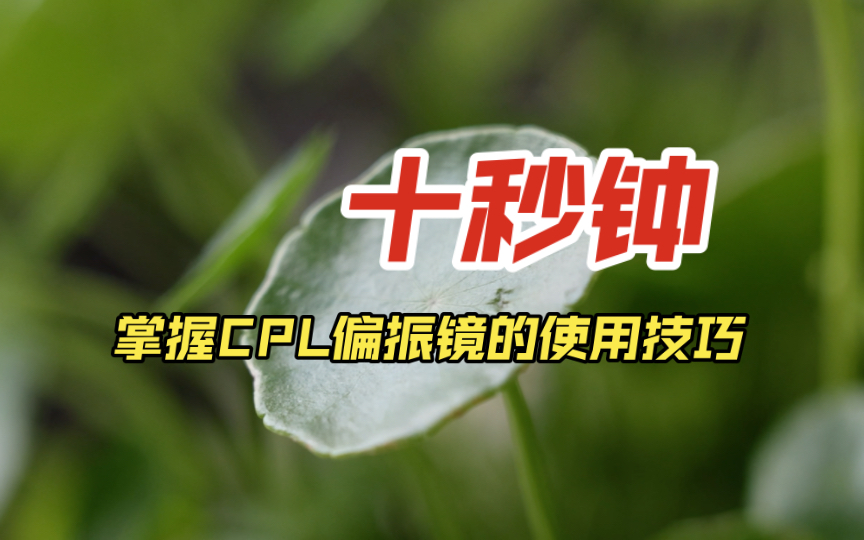 十秒钟掌握CPL偏振镜的使用技巧