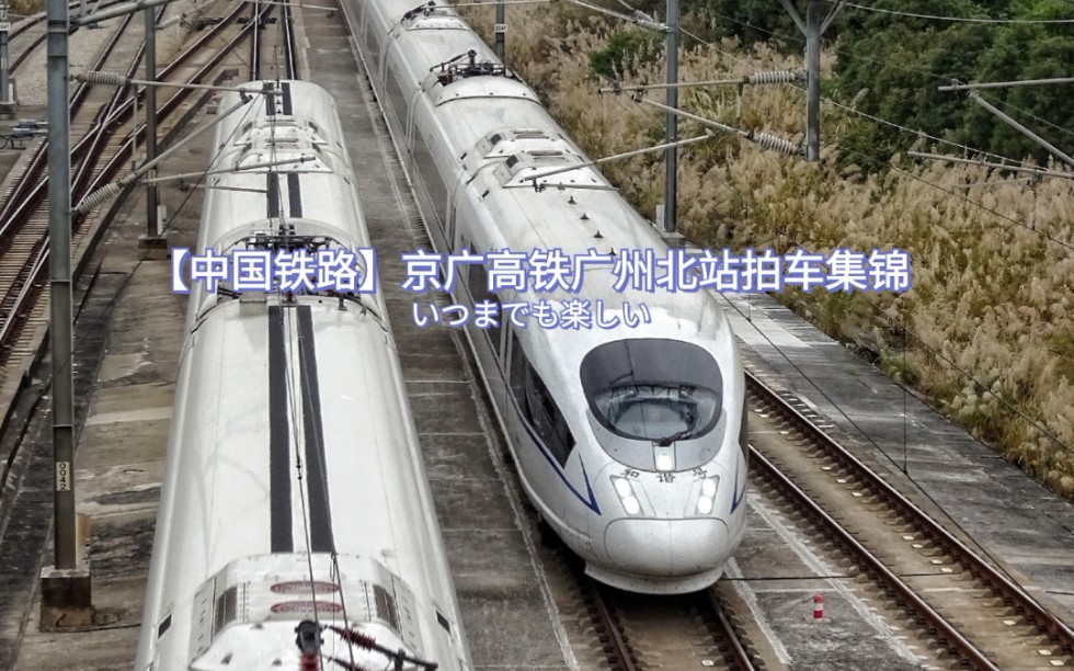 ...公司广州动车段深圳动车运用所CR400AF-2035+2038广州北站出站