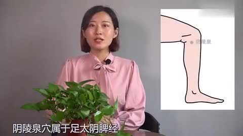 阴陵泉穴寒湿热湿都可治吗