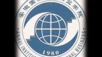 ...大学生创新会计人才技能大赛自我介绍 安徽国际商务职业学院-李娜