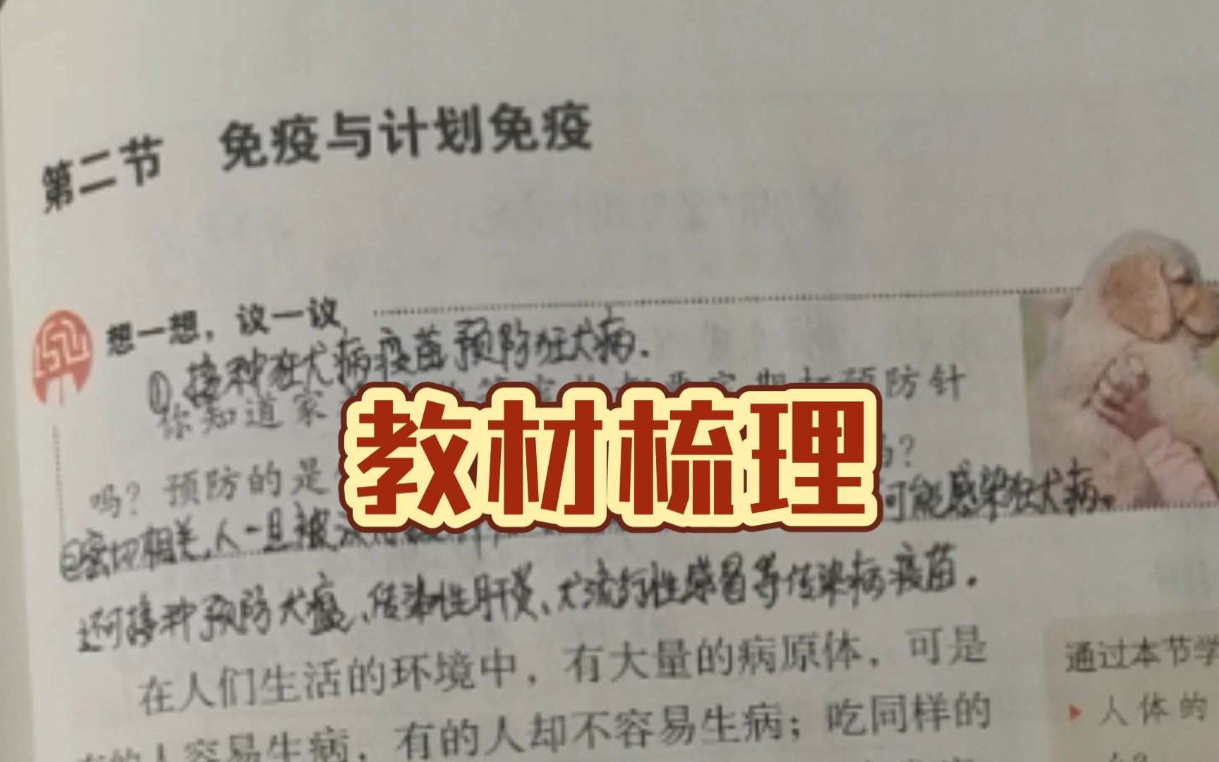 教材梳理//第一章第二节 免疫与计划免疫(人教版初中生物八年级下册)