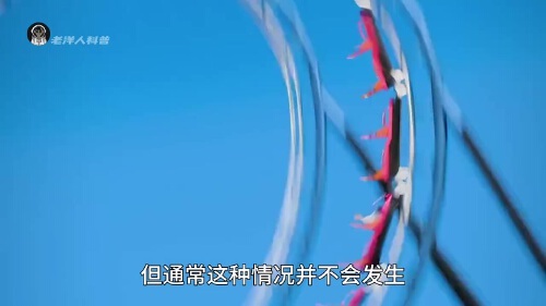 一张纸究竟能对折多少次科普涨知识动画科普
