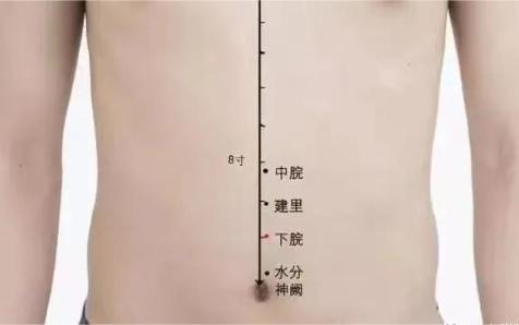 任脉上的腧穴—下脘穴解读