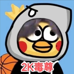 2k毒尊 