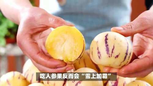 人参果别乱吃!这三类人越补越伤身,快看你中招没?