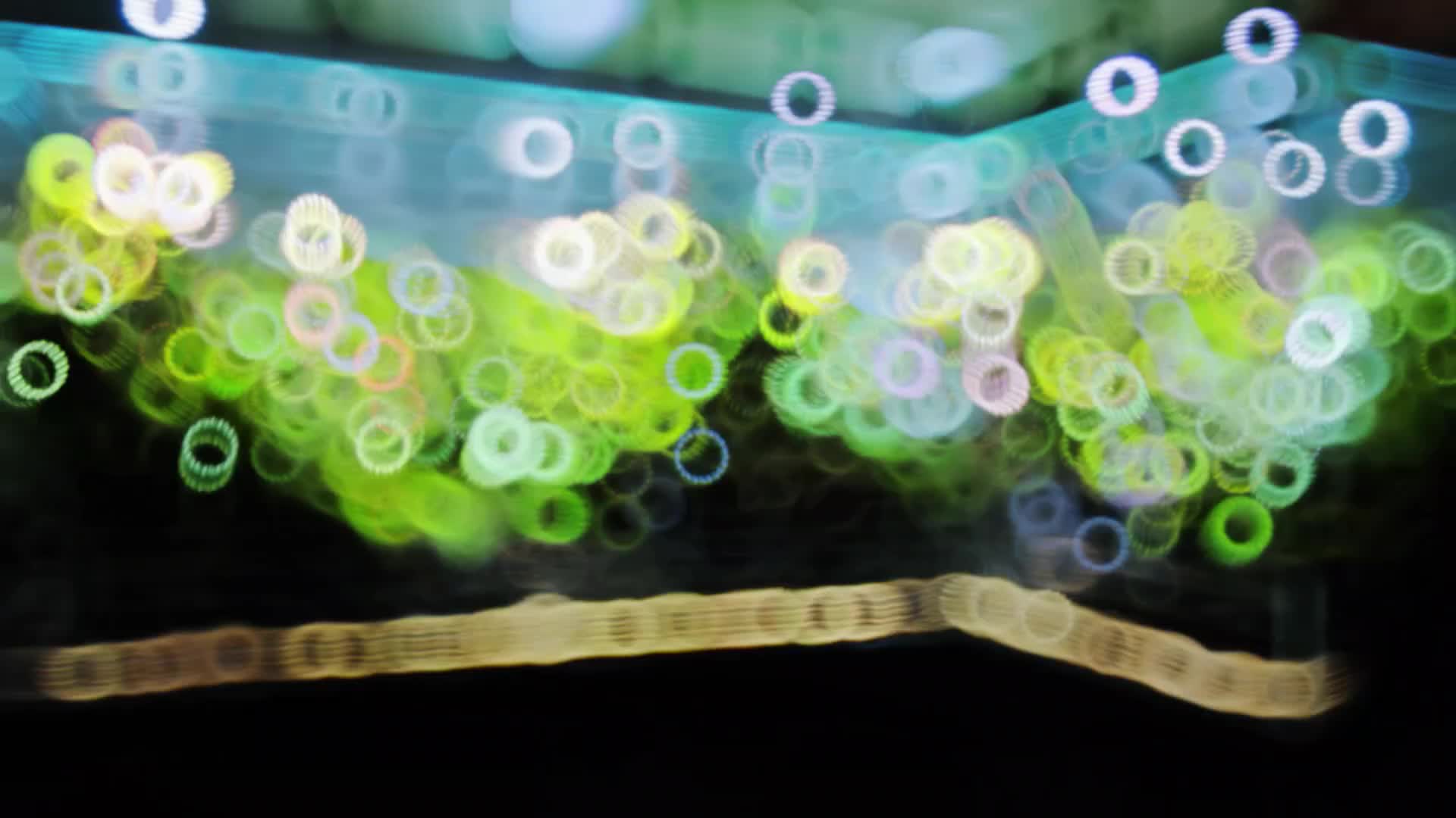 转角雨林缸 不懂就问这个雨林缸养什么动物合适呢#雨林缸 #雨林缸...