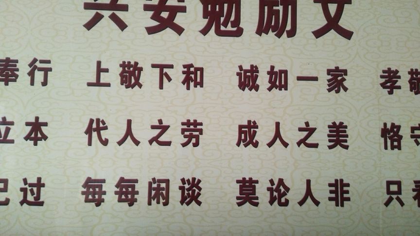 枣庄市社会组织总会金殿忠会长!